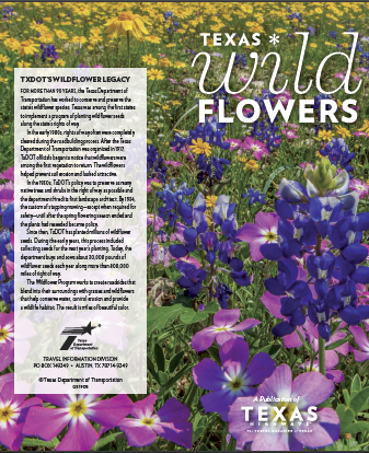 TxDOT Research Library - Texas Wild Flowers